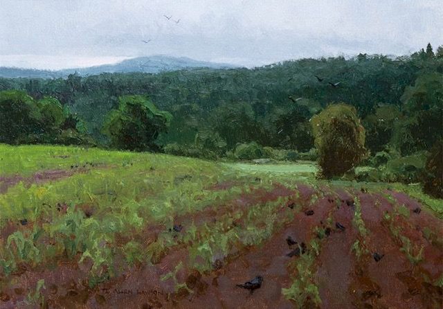 Artist: T. Allen Lawson | Page Gallery