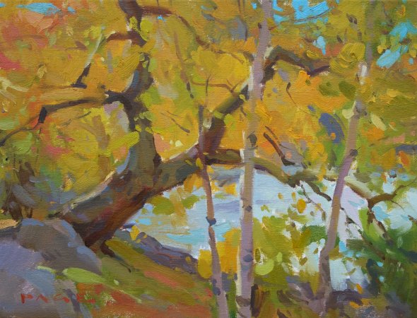 Artist: Colin Page | Page Gallery